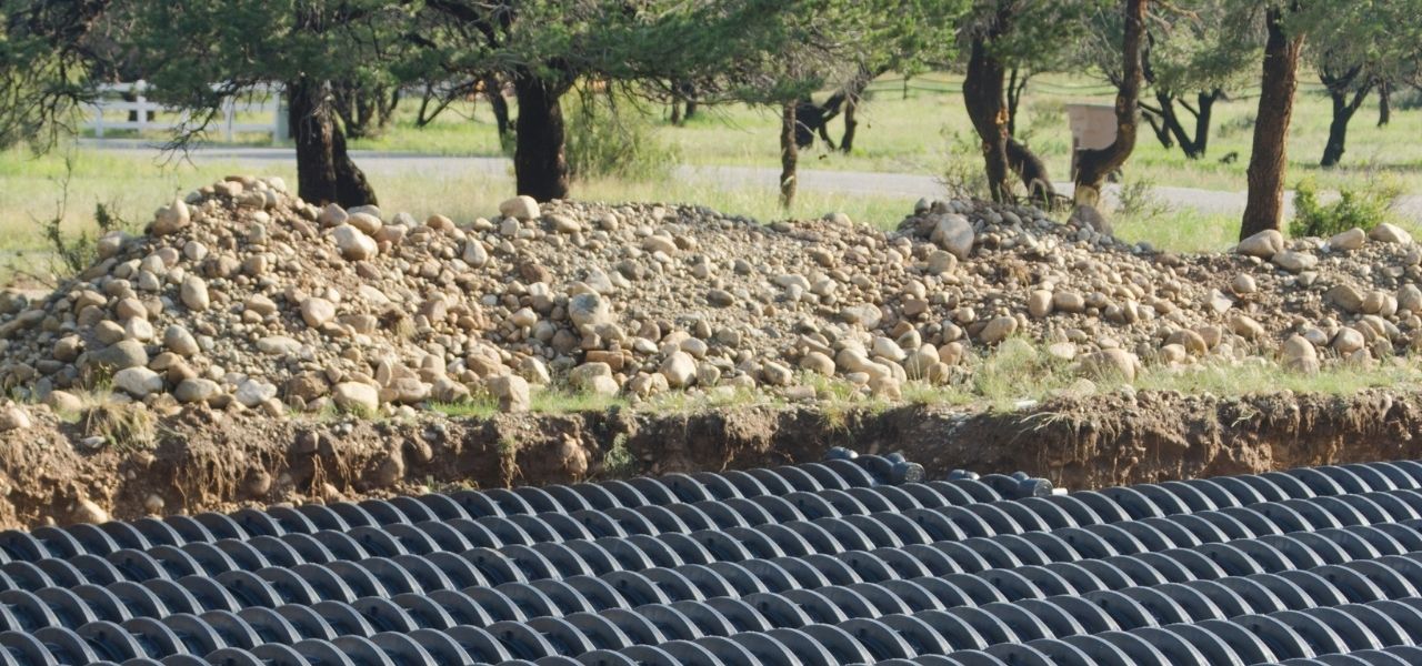 Why Trees Growing in Leach Fields Can Be Costly - LAM Tree Service